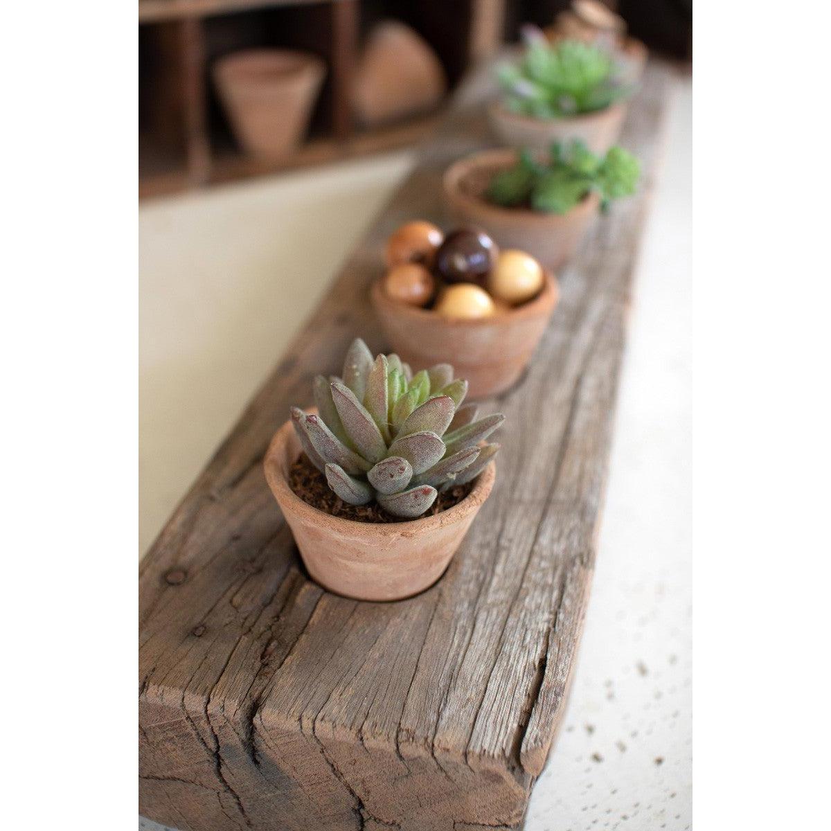 Kalalou Recycled Wooden Base with Five Clay Succulent Holders – Rustic ...